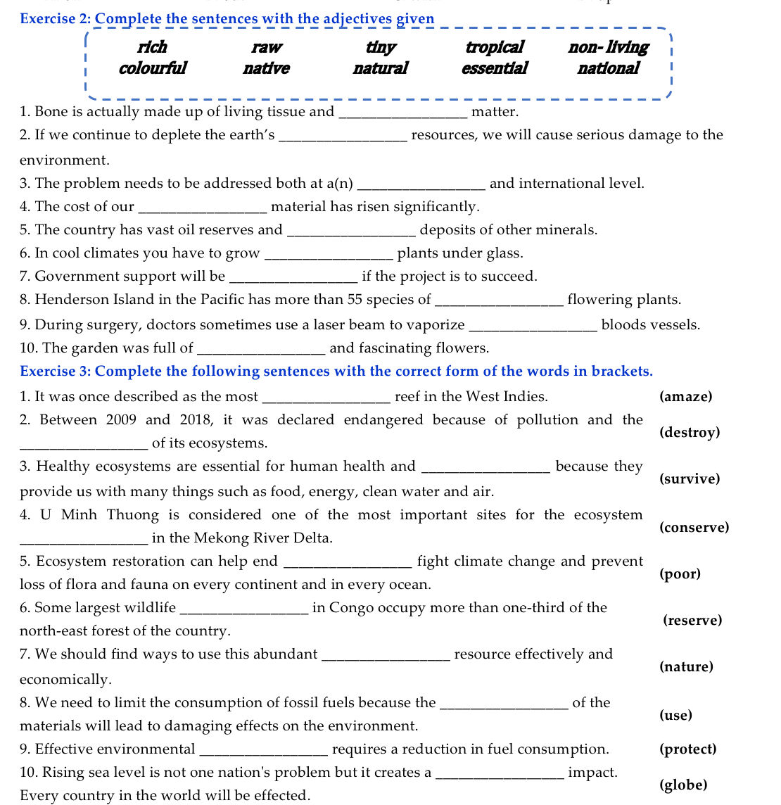 Exercise 2: Complete the sentences with the | StudyX