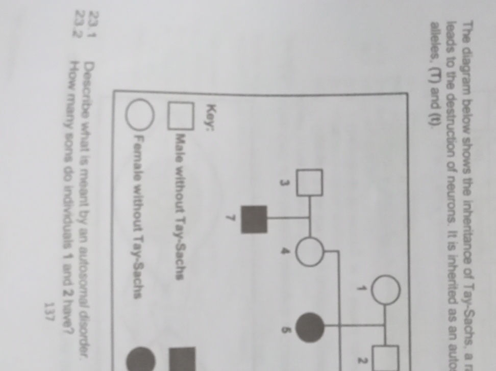 The diagram below shows the inheritance of | StudyX