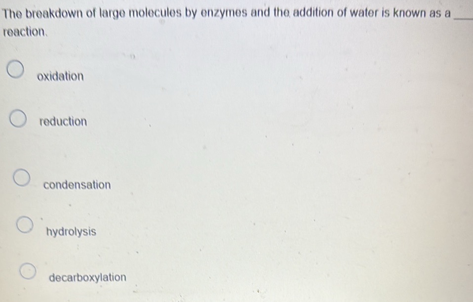 The breakdown of large molecules by enzymes | StudyX