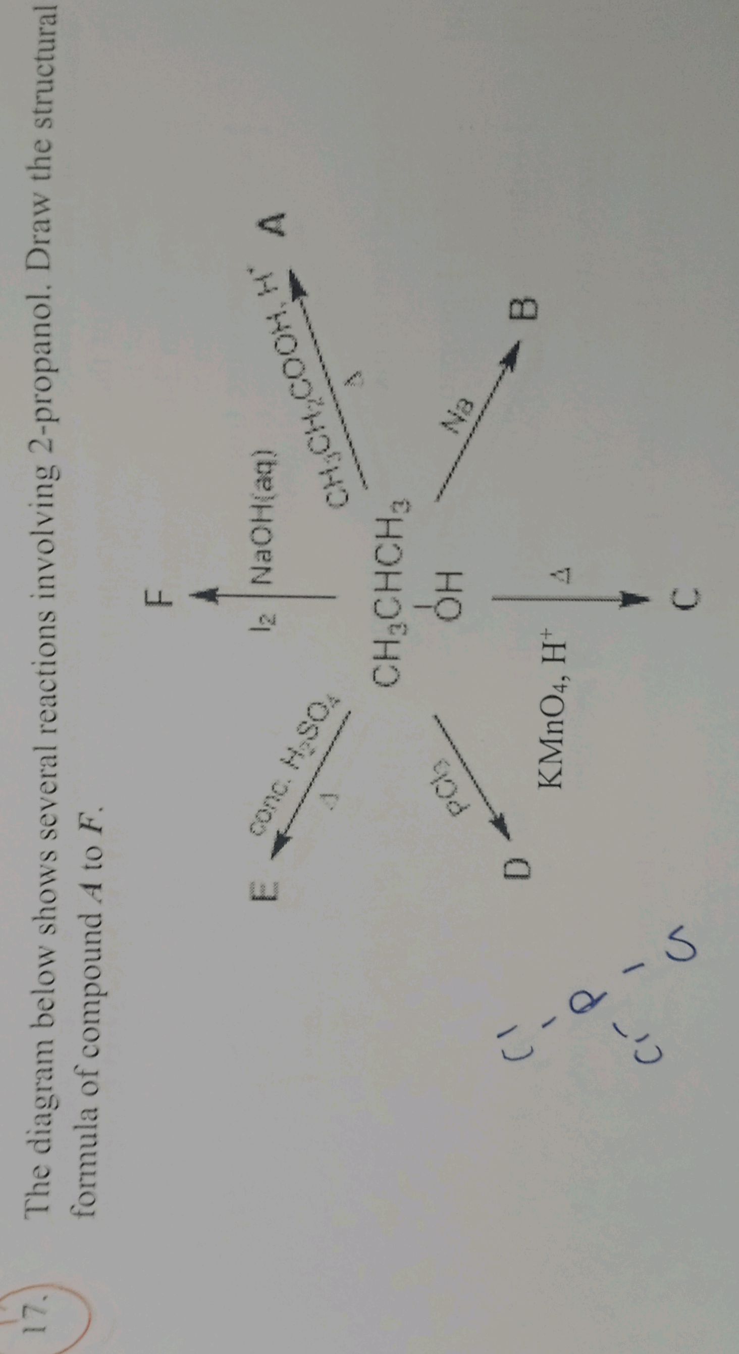 The diagram below shows several reactions | StudyX