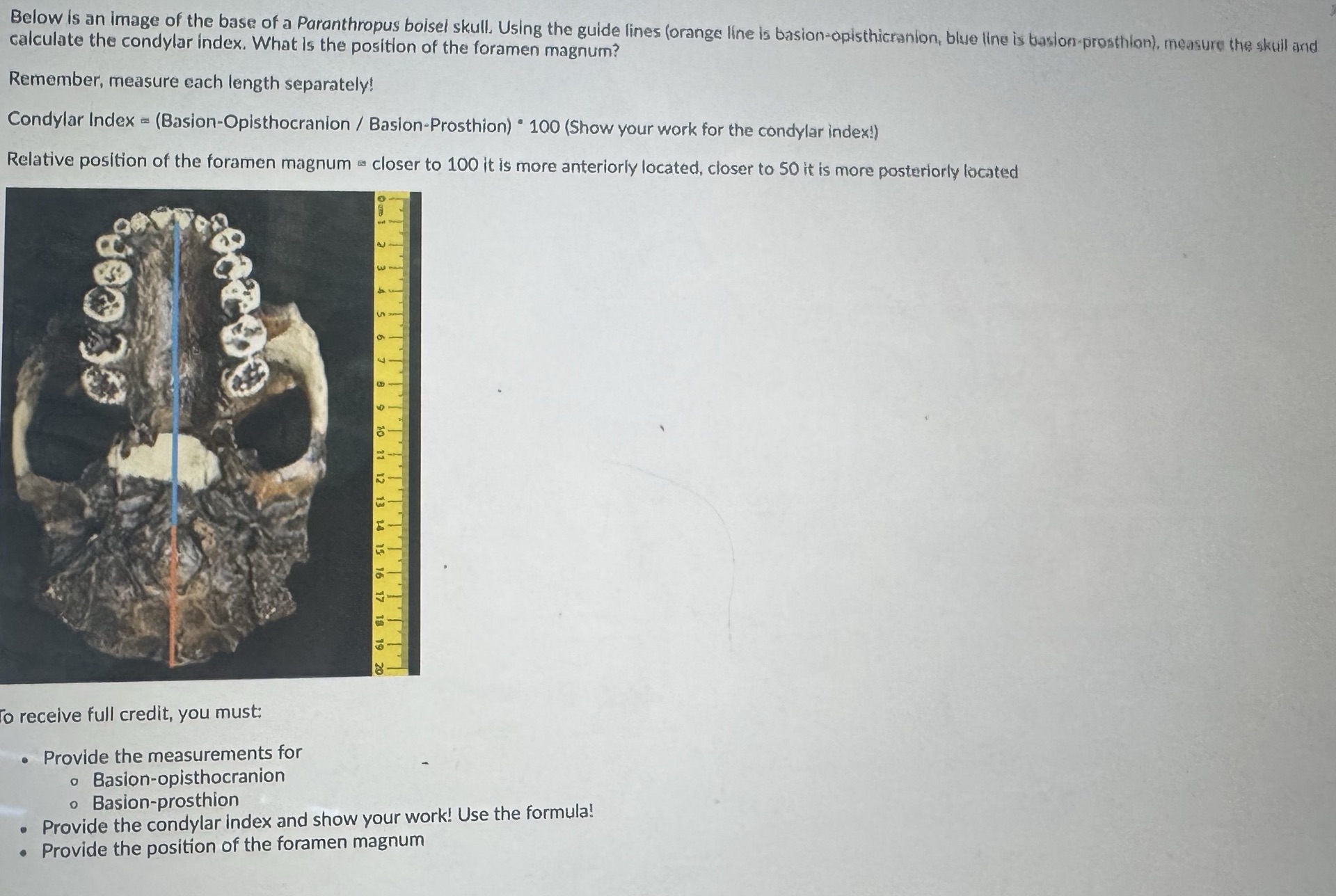 Below is an image of the base of a | StudyX