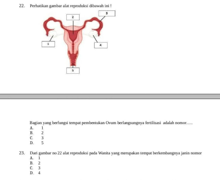 22. Perhatikan gambar alat reproduksi | StudyX