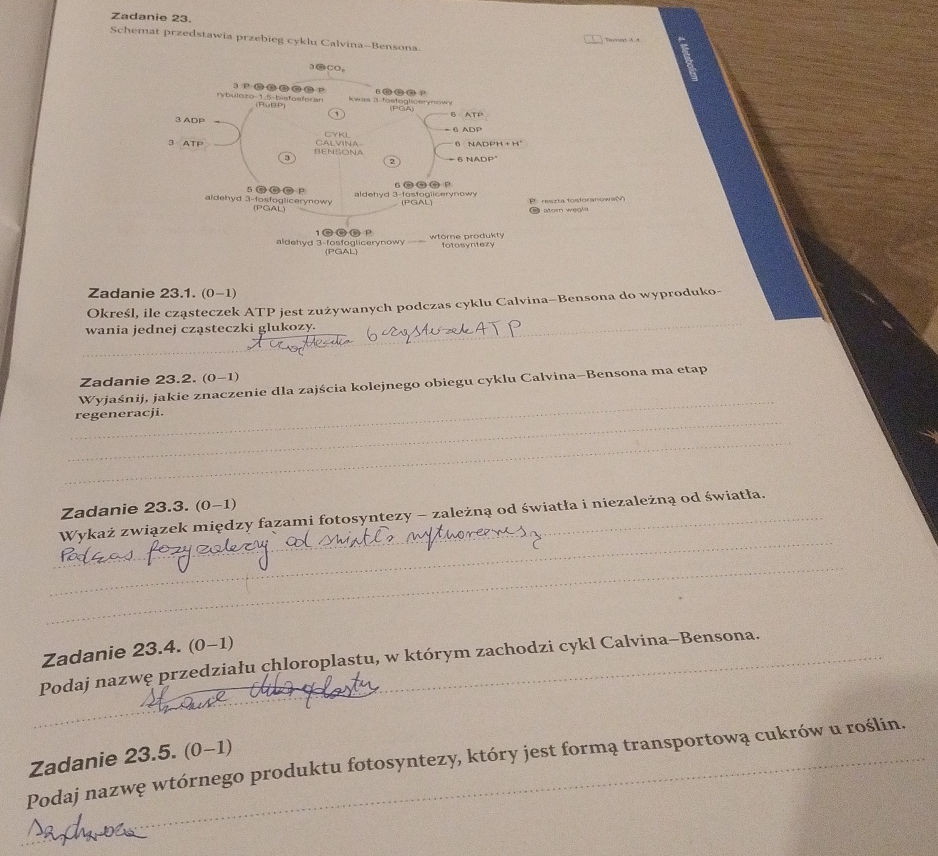 Zadanie 23. Schemat przedstawia przebieg | StudyX