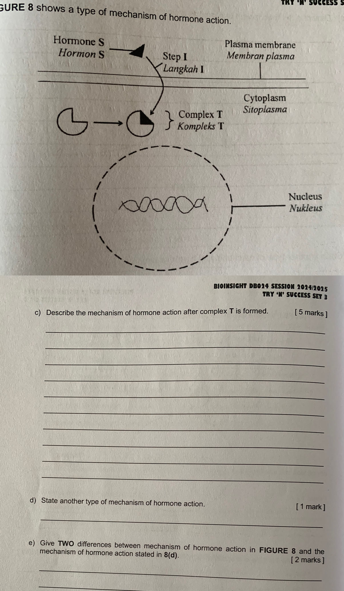 c) Describe the mechanism of hormone action | StudyX