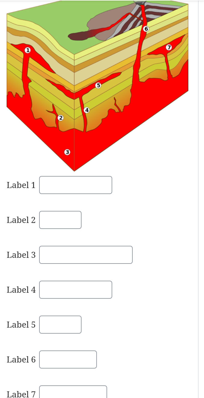 Label 1 Label 2 Label 3 Label 4 Label 5 | StudyX