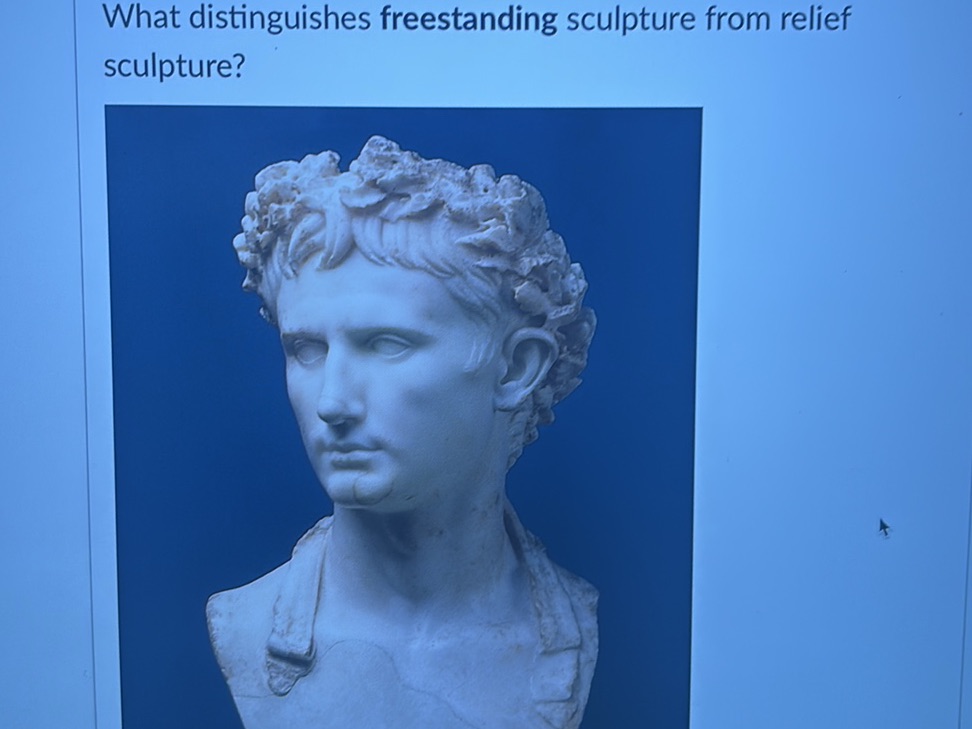What distinguishes freestanding sculpture | StudyX