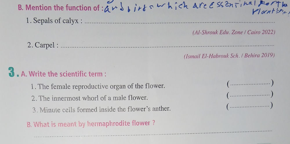 B. Mention the function of: 1. Sepals of | StudyX
