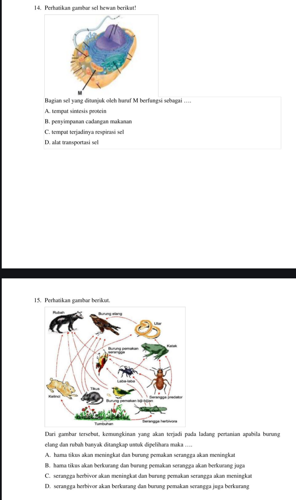 14. Perhatikan gambar sel hewan berikut! | StudyX