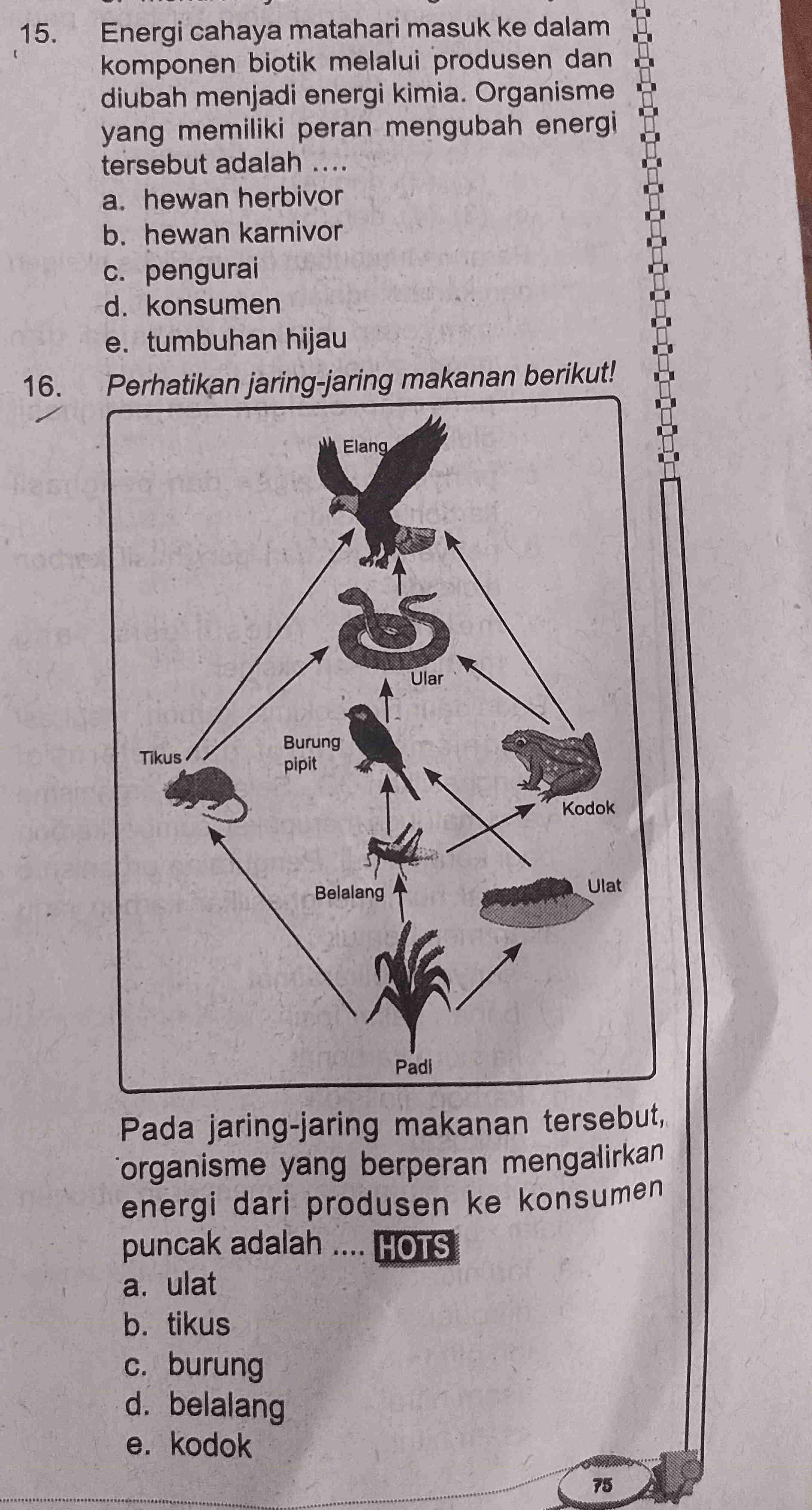 15. Energi cahaya matahari masuk ke dalam | StudyX