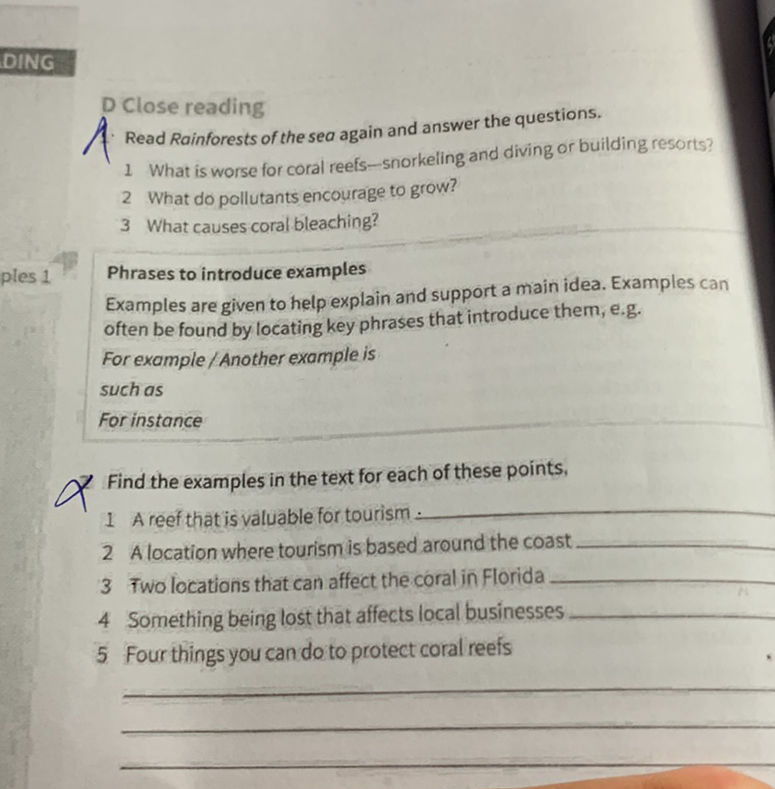 Read Rainforests of the sea again and answer | StudyX