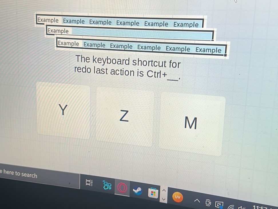 The keyboard shortcut for redo last action | StudyX