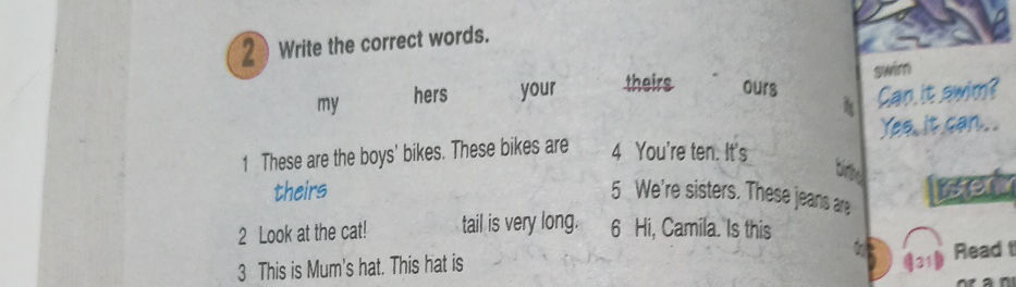 Write the correct words. my hers your | StudyX