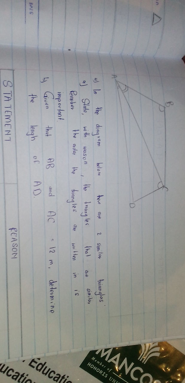 4) In the diagram below there are 2 similar | StudyX