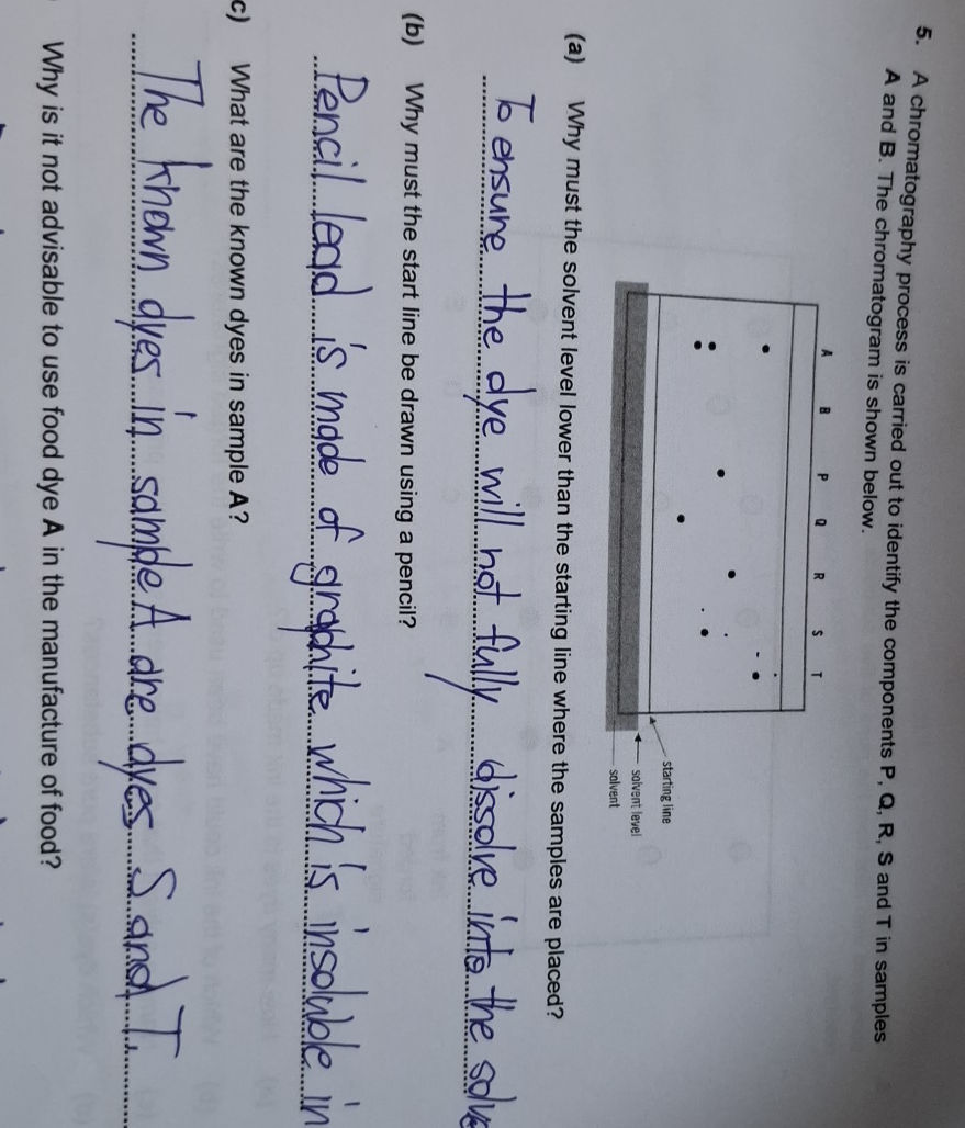 (a) Why must the solvent level lower than | StudyX