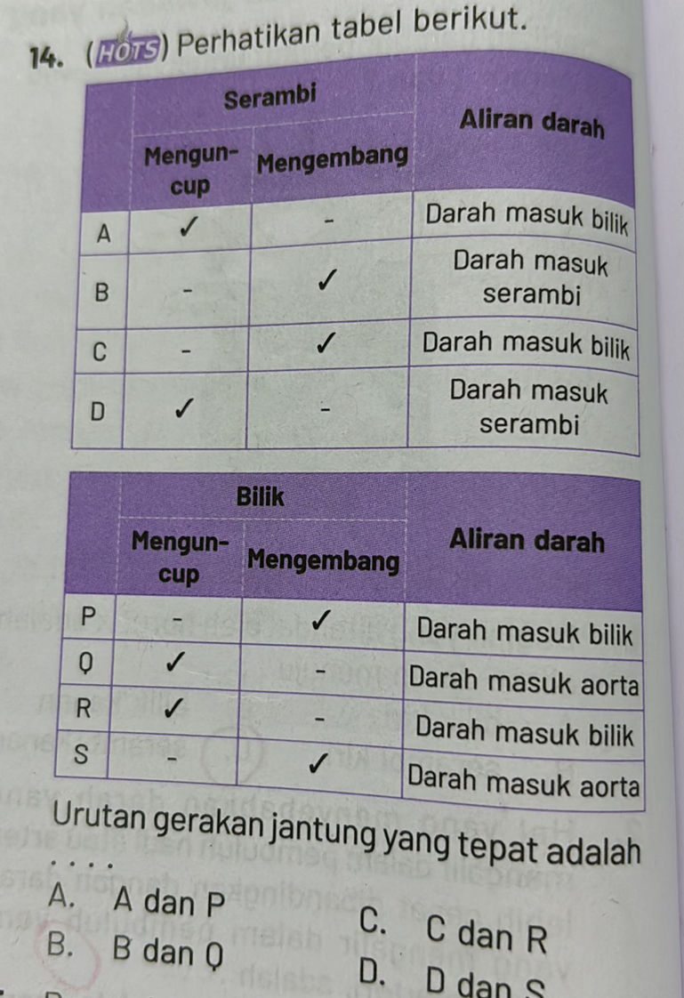 Perhatikan tabel berikut. | Serambi | | StudyX