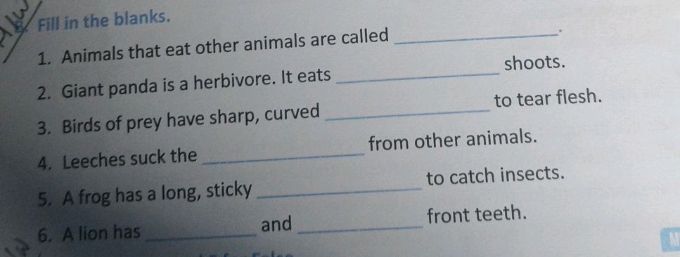 Fill in the blanks. 1. Animals that eat | StudyX