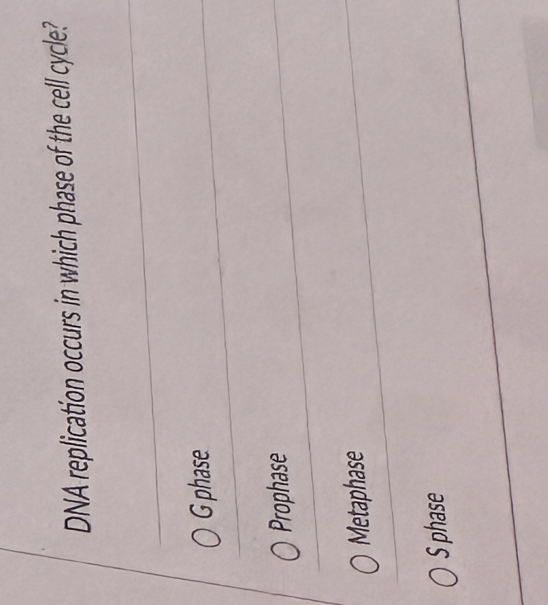 DNA replication occurs in which phase of the | StudyX