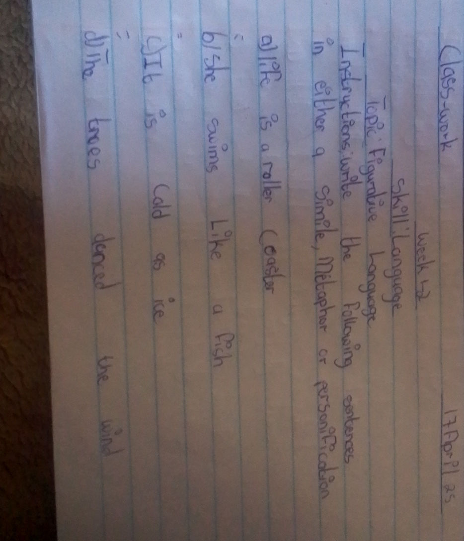 Instructions: write the following sentences | StudyX