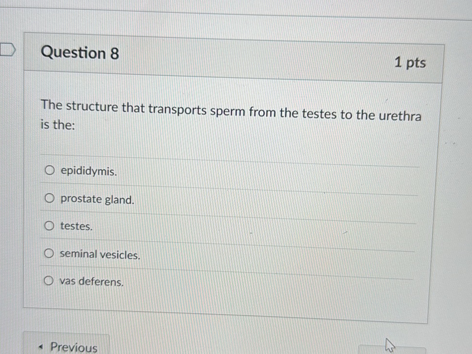 The structure that transports sperm from the | StudyX