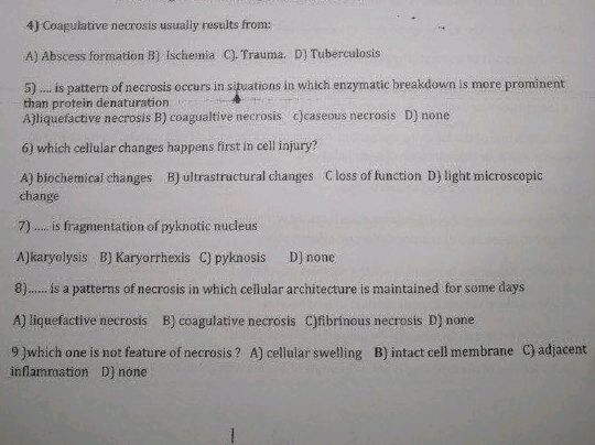 4) Coagulative necrosis usually results | StudyX