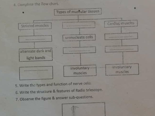 4. Complete the flow chart. Types of | StudyX