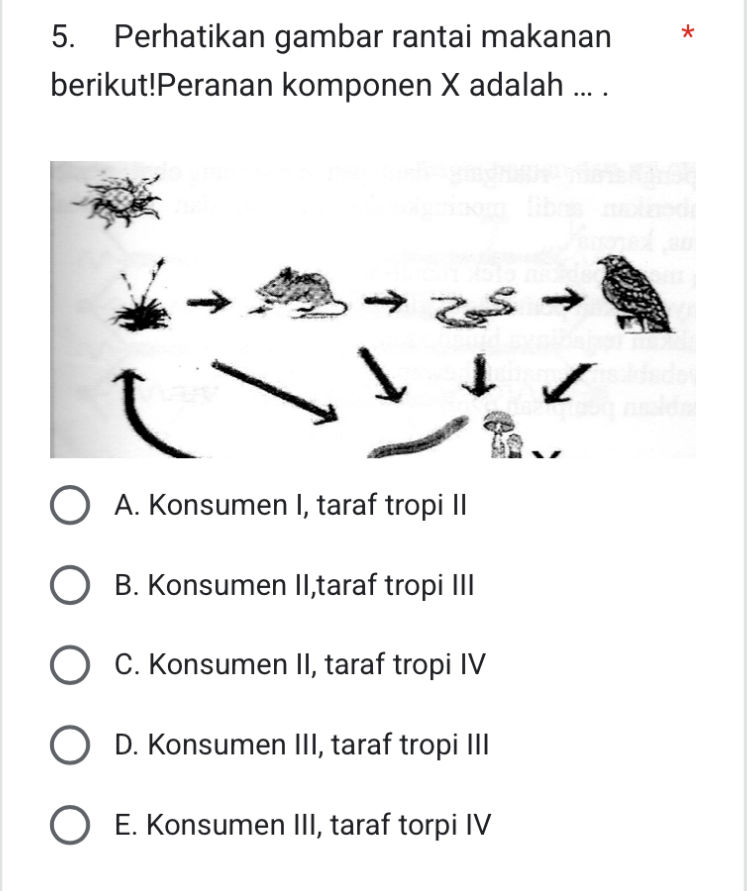 5. Perhatikan gambar rantai makanan berikut! | StudyX