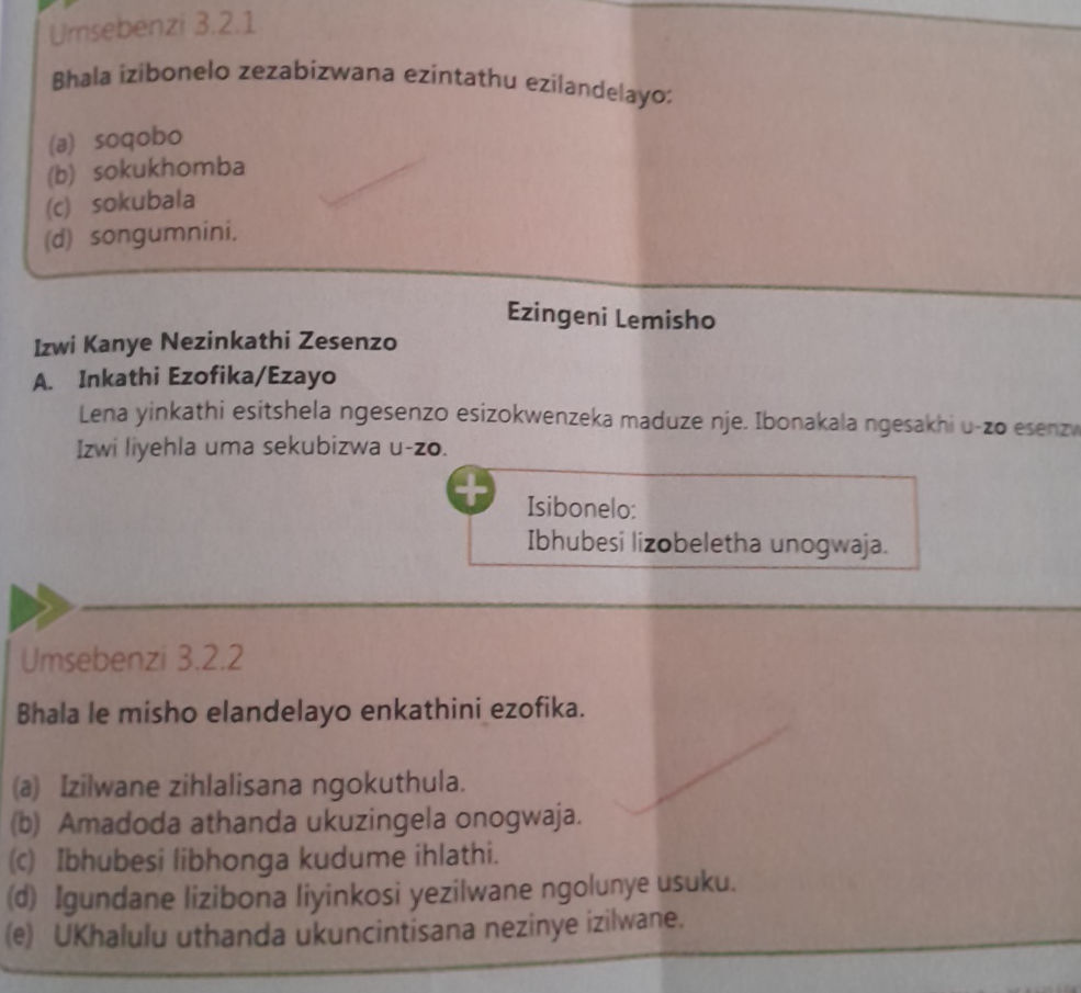 Umsebenzi 3.2.1 Bhala izibonelo zezabizwana