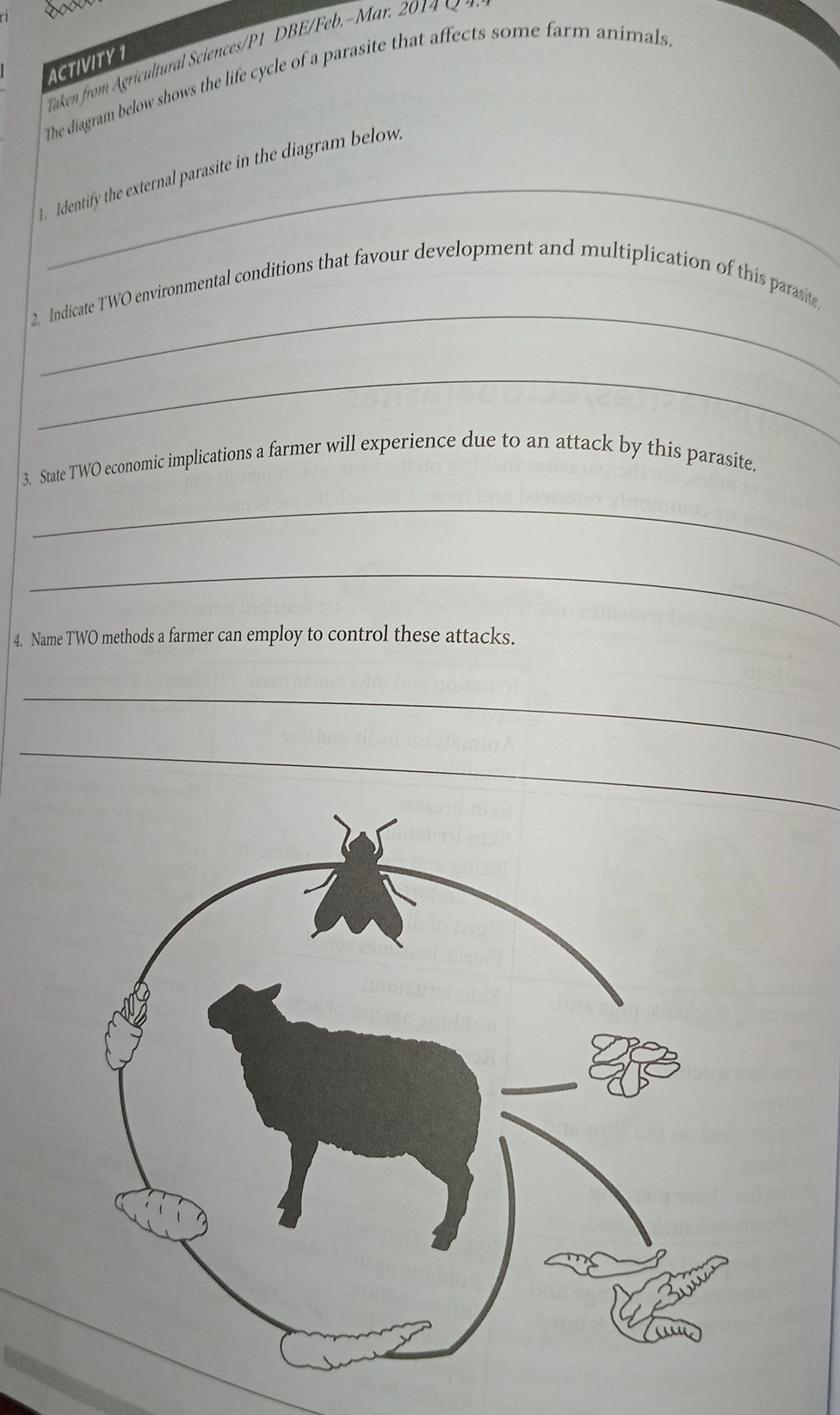 1. Identify the external parasite in the | StudyX