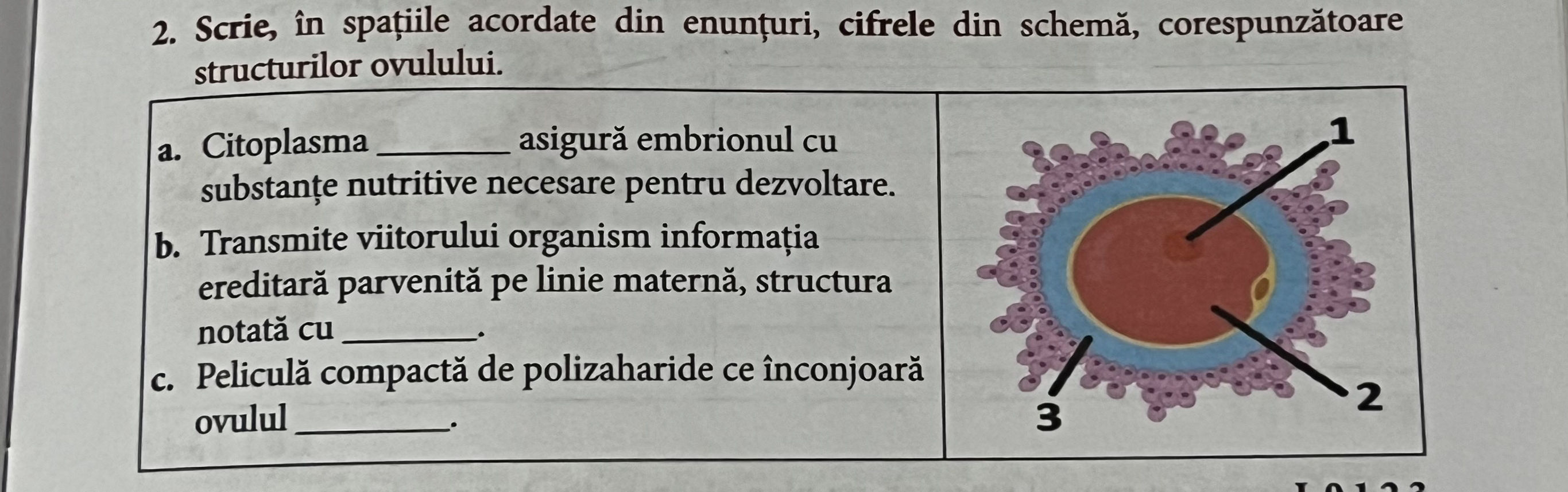 2. Scrie, în spațiile acordate din enunțuri, | StudyX
