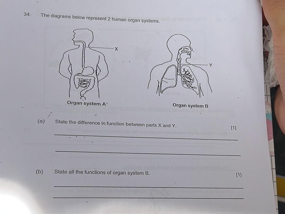 34. The diagrams below represent 2 human | StudyX