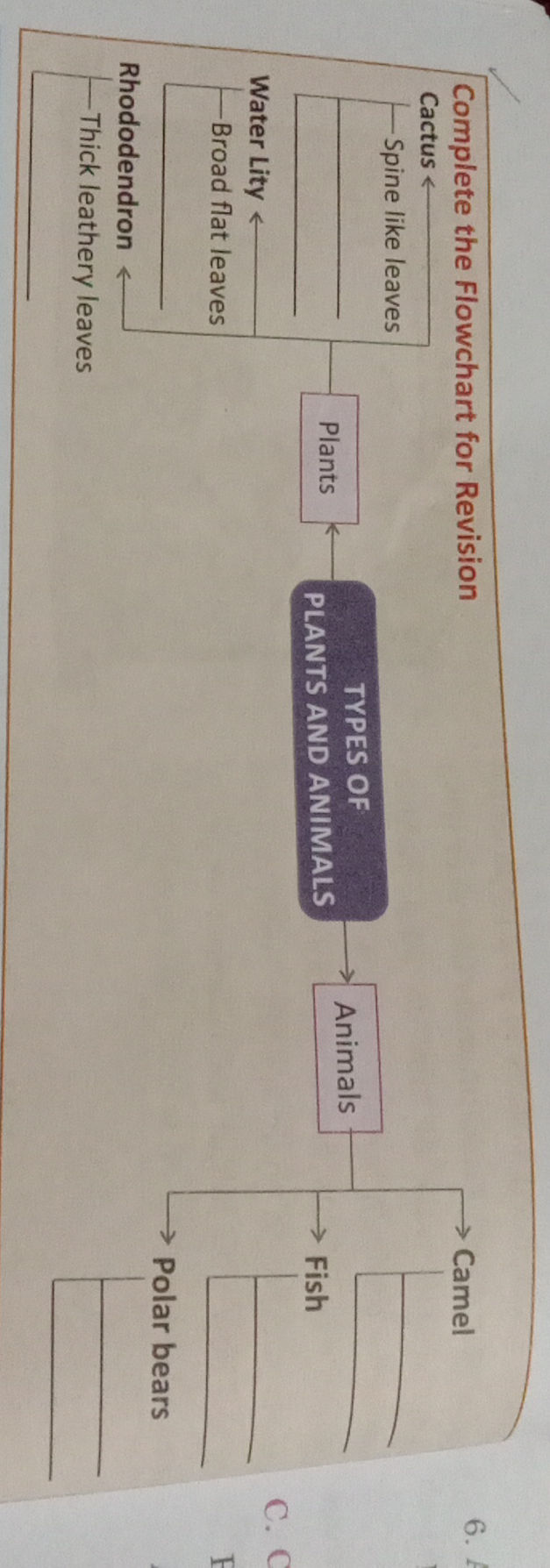 Complete the Flowchart for Revision Plants | StudyX