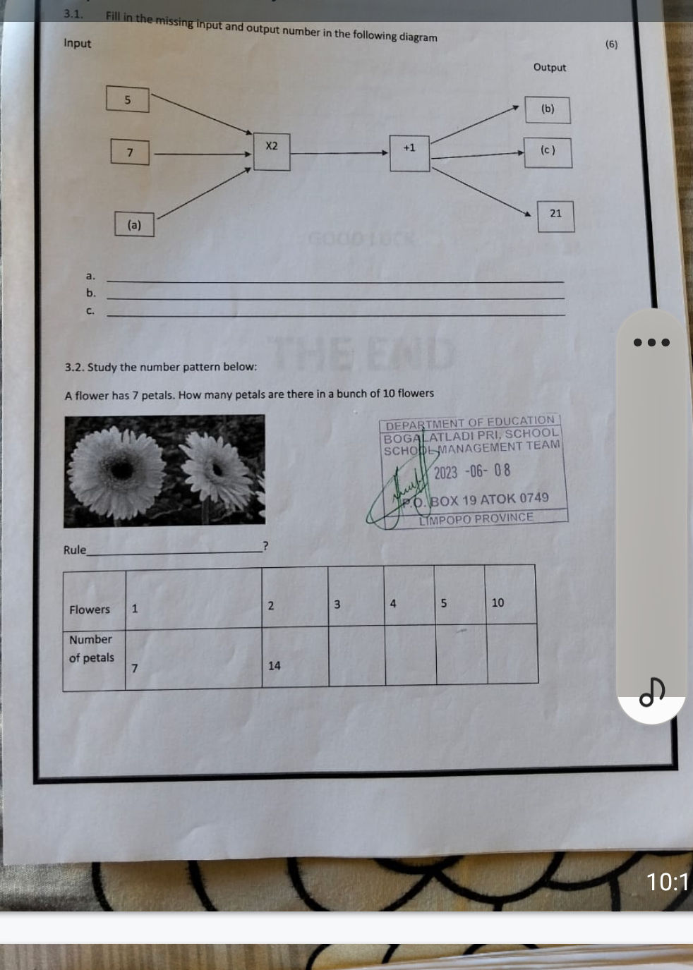 3.1. Fill in the missing input and output | StudyX