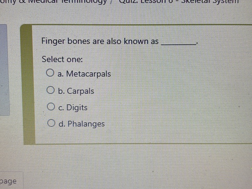 Finger bones are also known as ____. Select | StudyX