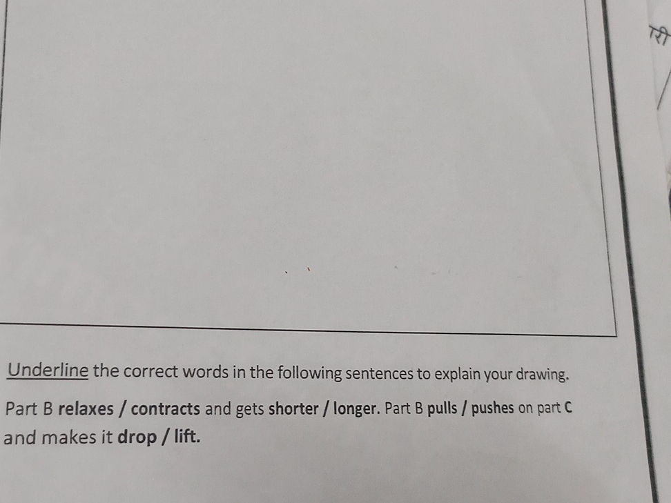 Underline the correct words in the following | StudyX