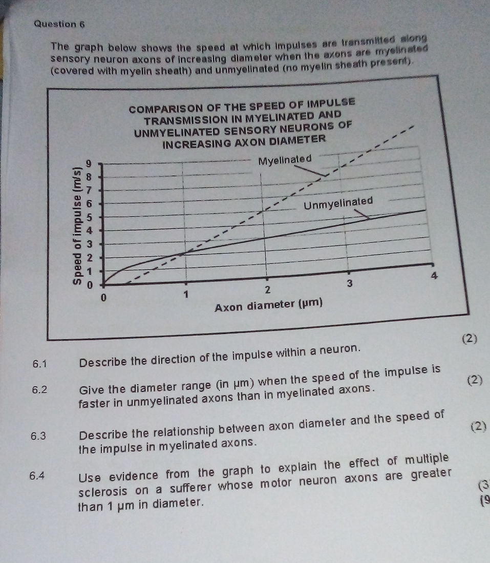 Question 6 The graph below shows the speed | StudyX