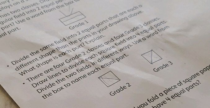 Divide the same field into 2 equal parts | StudyX