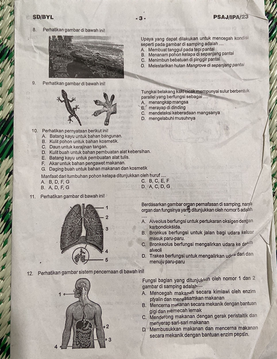 8. Perhatikan gambar di bawah ini! Upaya | StudyX