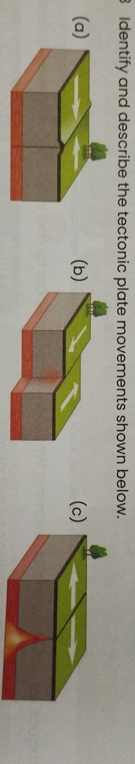 Identify and describe the tectonic plate | StudyX