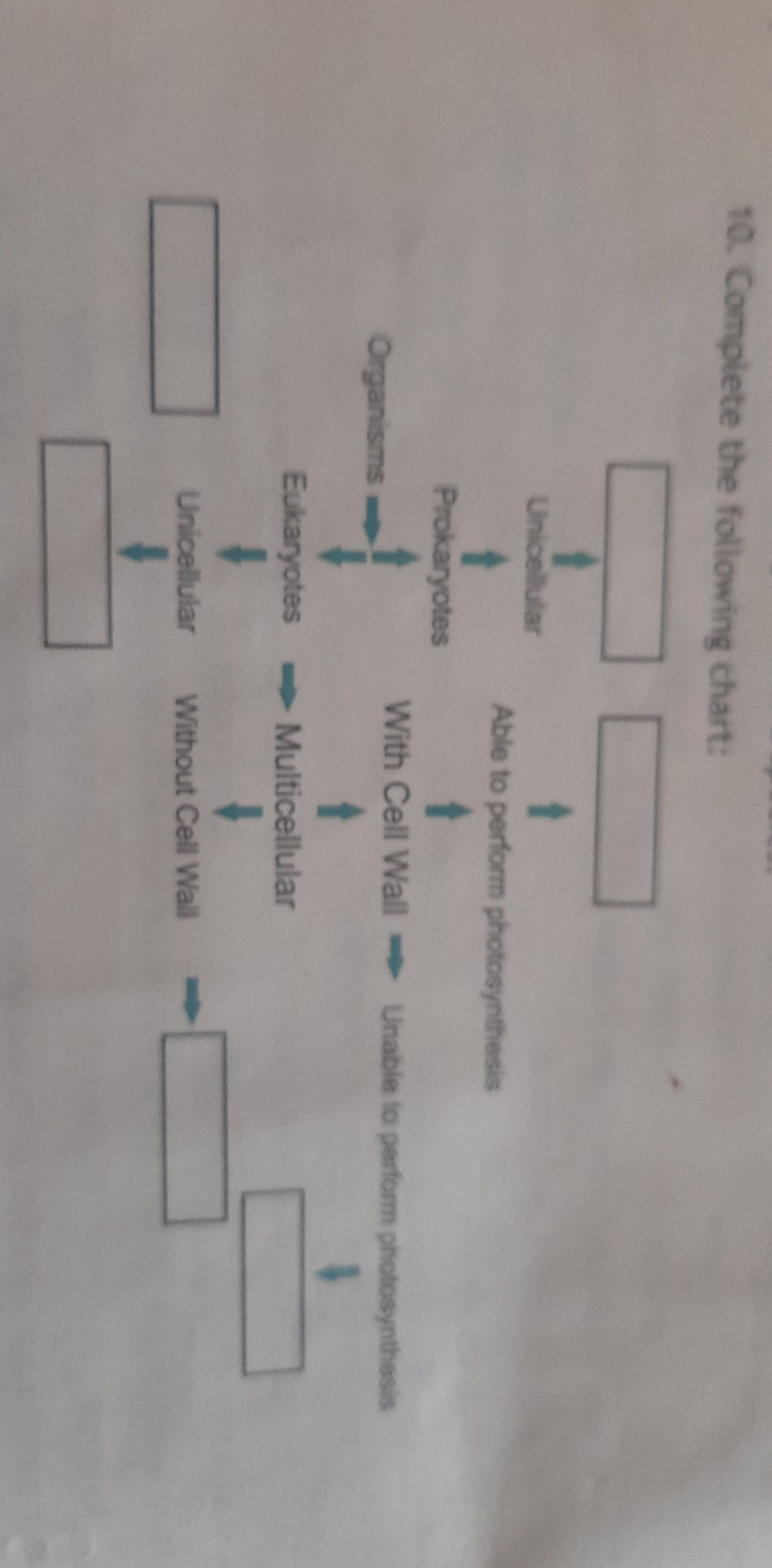 10. Complete the following chart: Organisms | StudyX