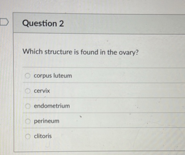 Which structure is found in the ovary? | StudyX
