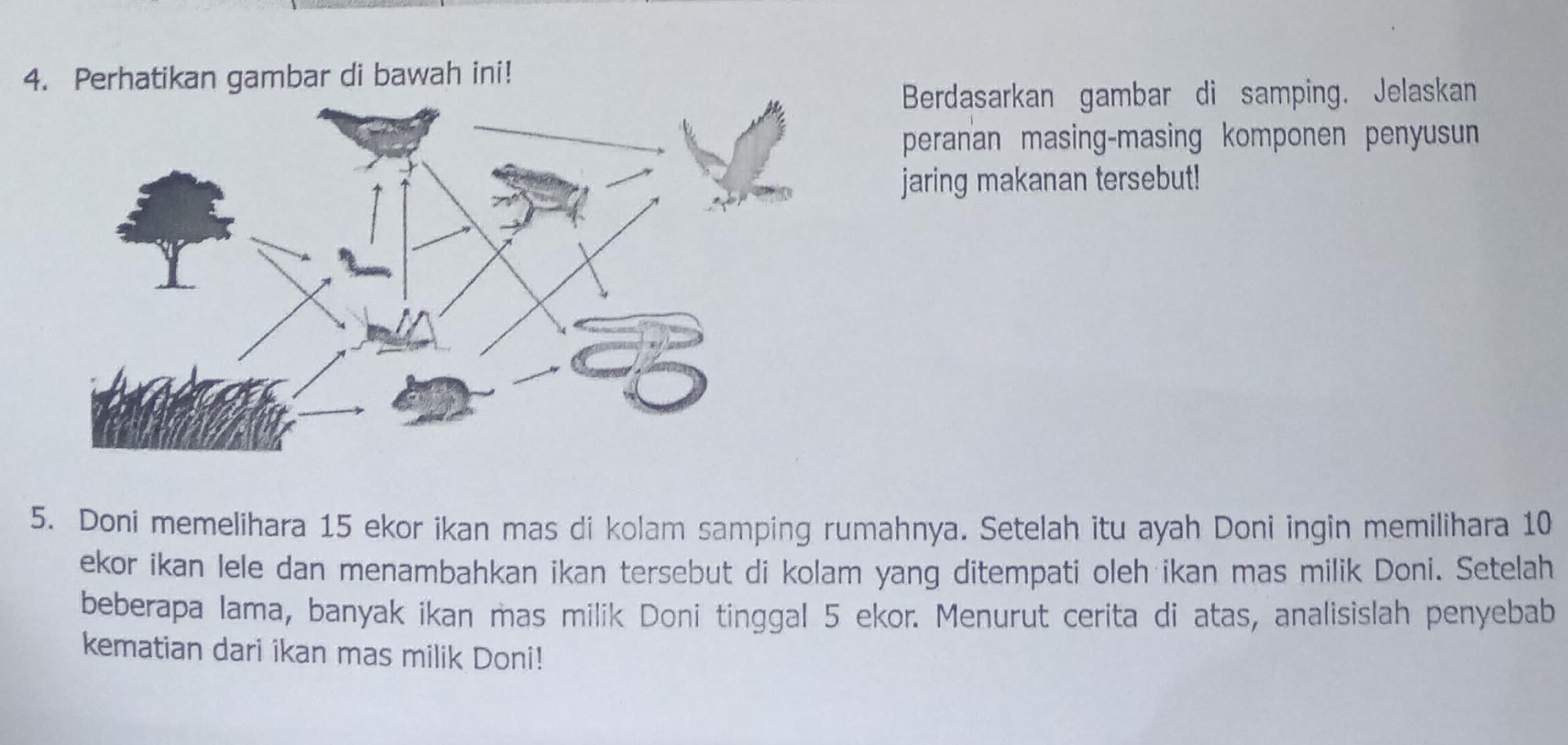 4. Perhatikan gambar di bawah ini! | StudyX