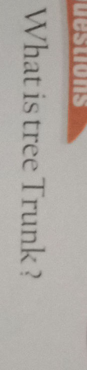 What is a tree trunk? | StudyX