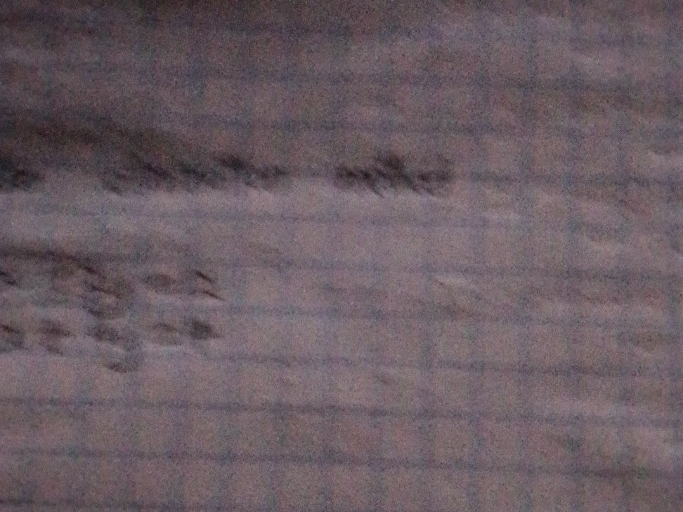 The image contains some handwritten text, | StudyX