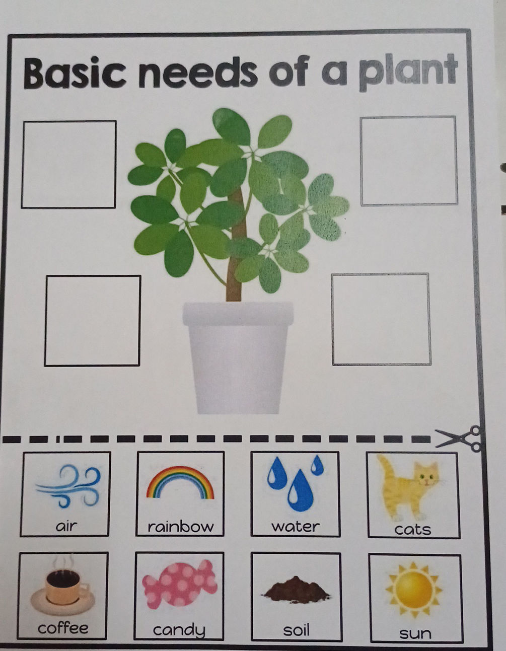 Basic needs of a plant air rainbow | StudyX