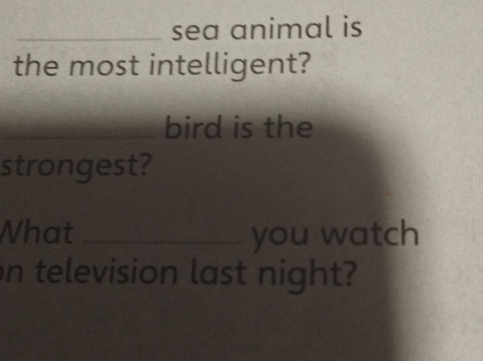 sea animal is the most intelligent? bird is