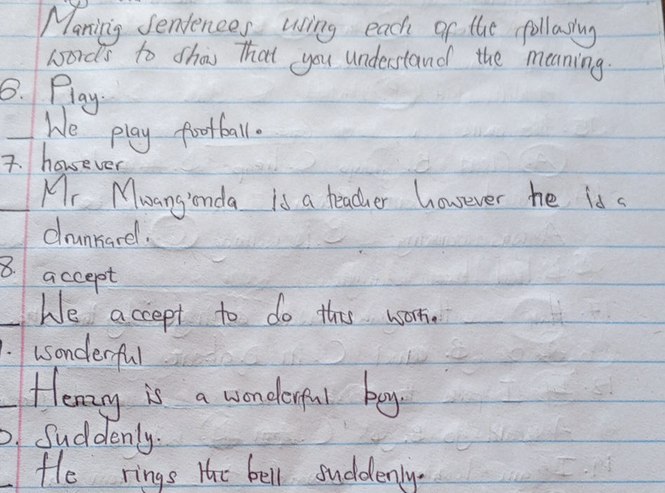 Maninig Sentences using each of the | StudyX