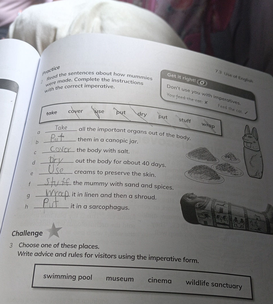 2 Read the sentences about how mummies were | StudyX