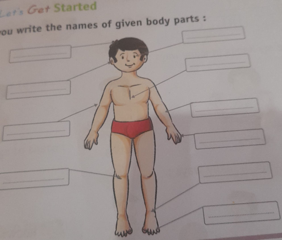 You write the names of given body parts : | StudyX
