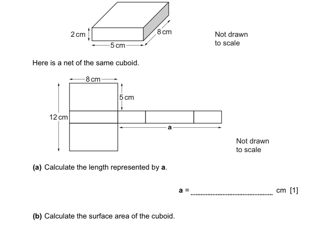 Here is a net of the same cuboid. (a) | StudyX