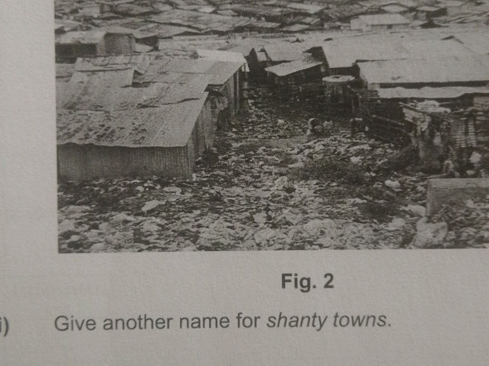 Shanty Towns: Other Names | StudyX